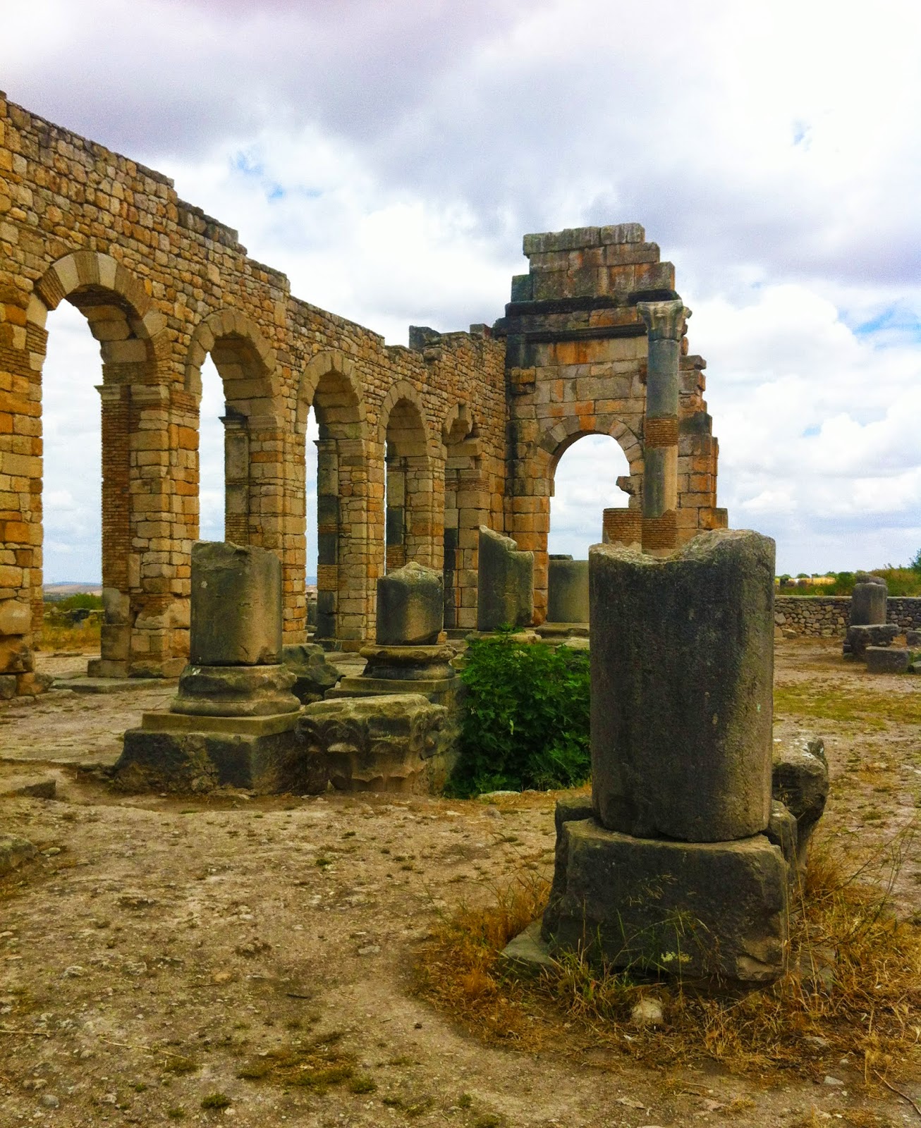 .petrickle.: volubilis AKA walili