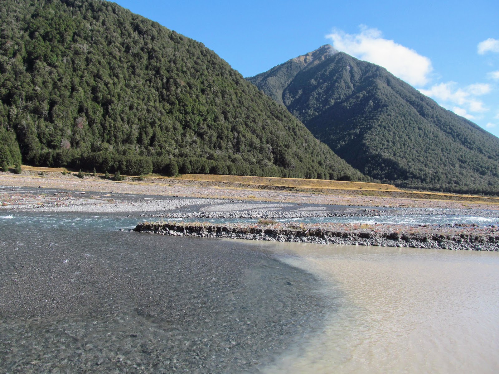 Tramping in the New Zealand backcountry: NZ Bush Adventures: Hawdon ...