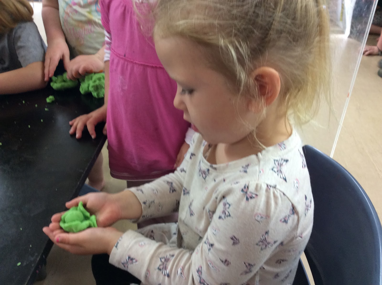 Bream Bay Kindergarten: What is a "Provocation"