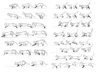 Paula Davey, Animation Module: Cat Movement