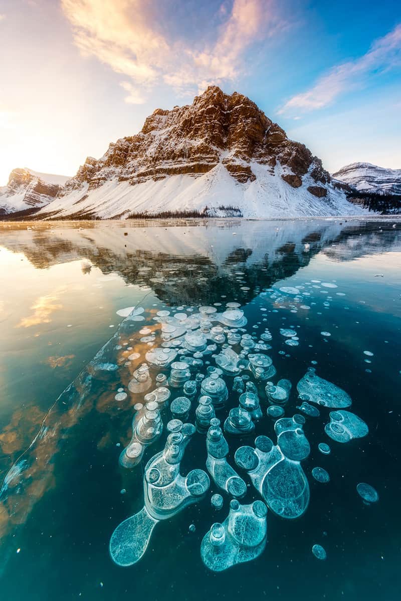 GoosBall: Abraham Lake, Alberta, Canada