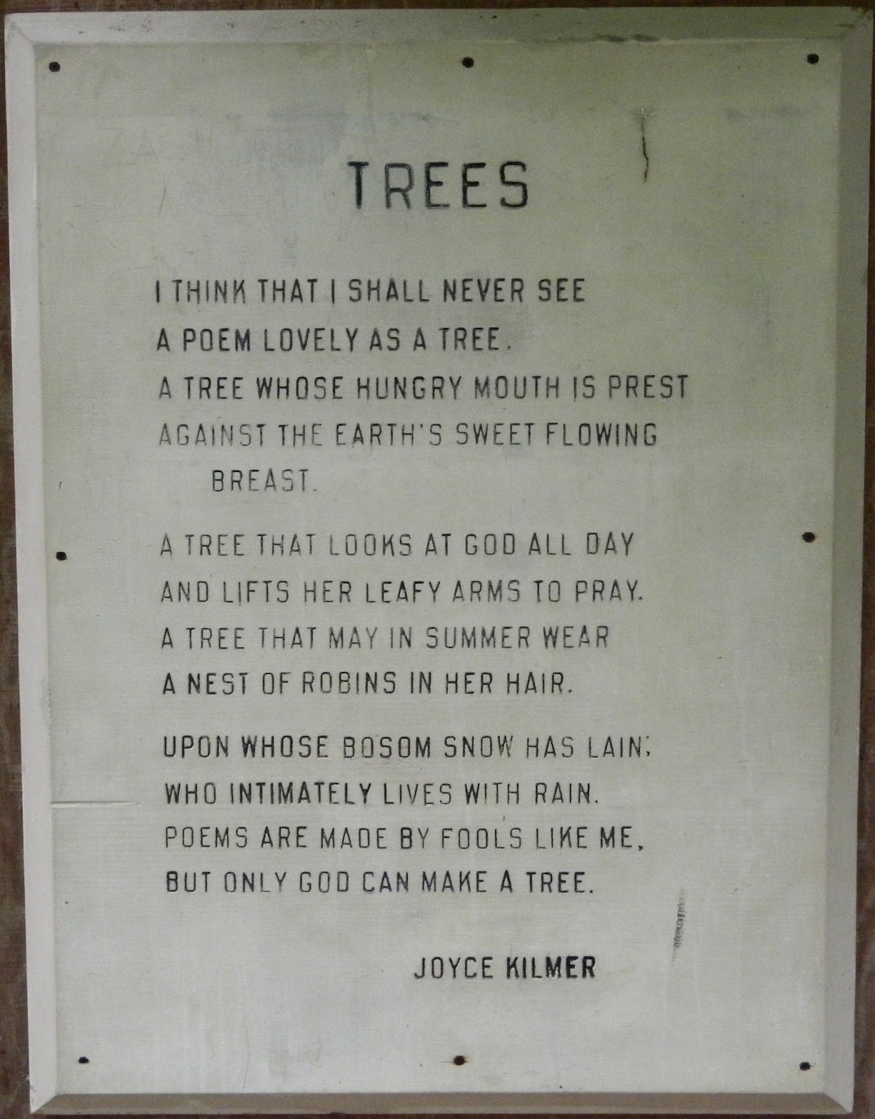 Lise's Log Cabin Life: The Joyce Kilmer Memorial Forest