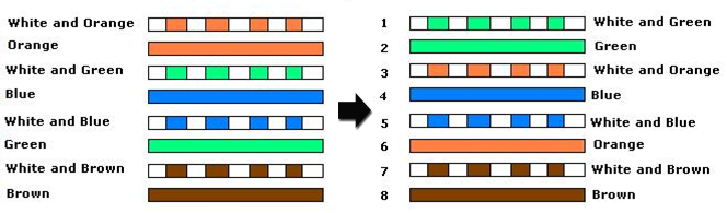 Standar Susunan Warna pada Kabel UTP - Banyak Ilmu