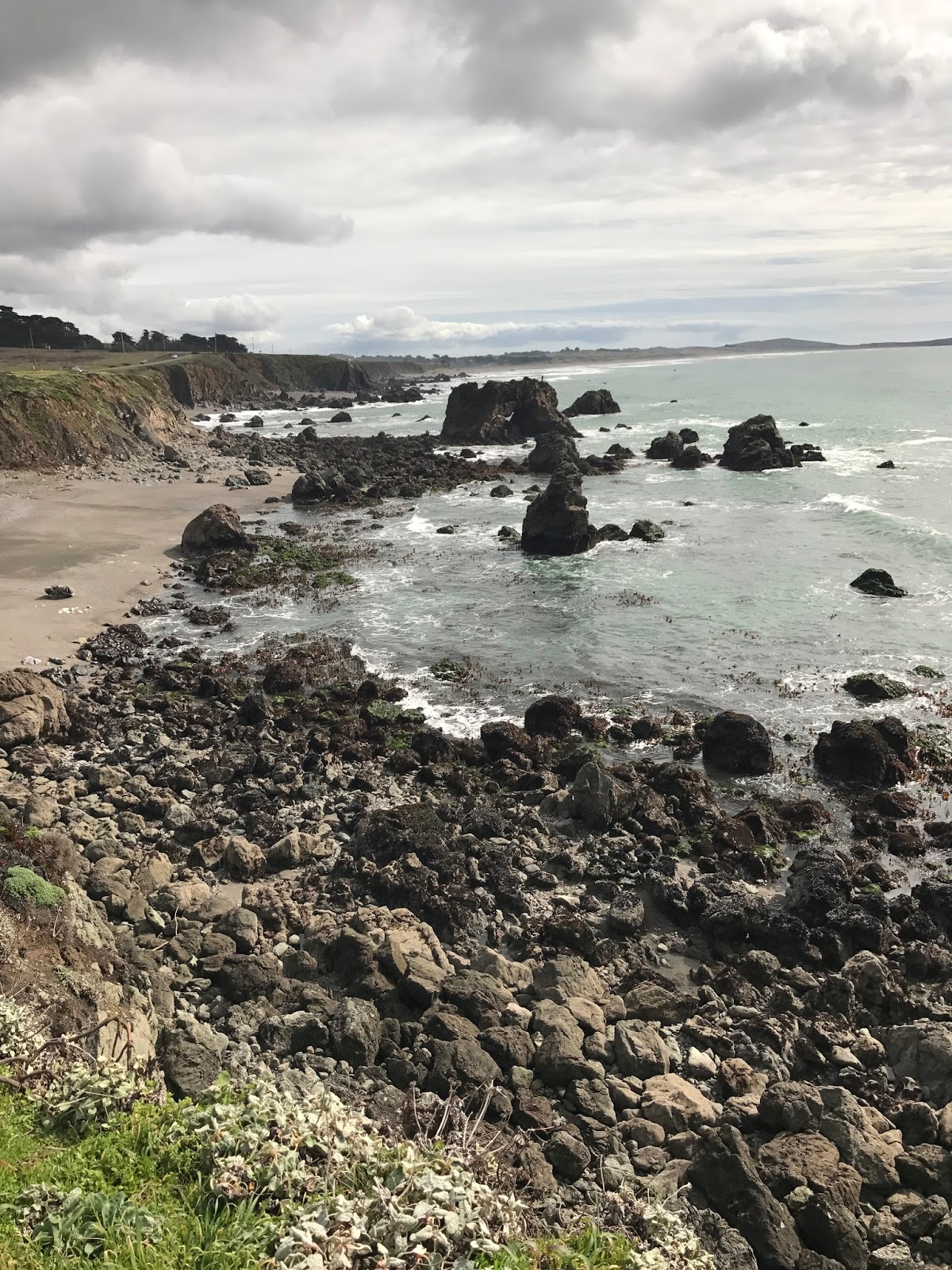 Carmet Beach Tide-pooling