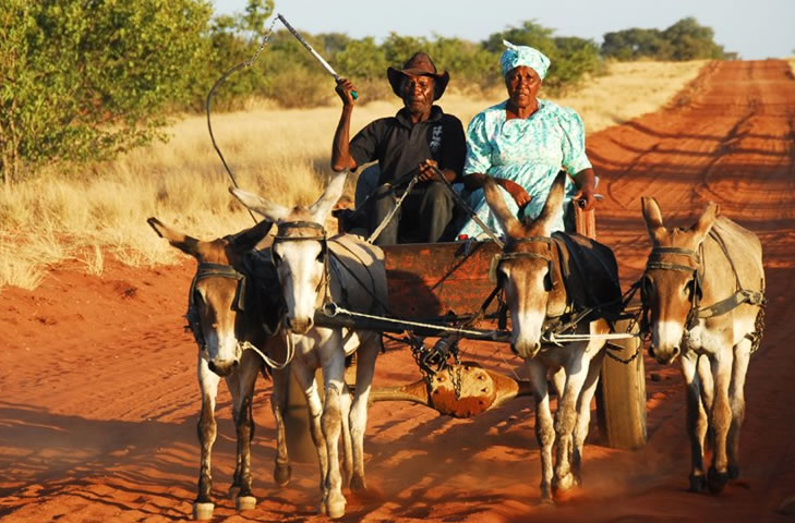 Namibia Reservations: Khorixas