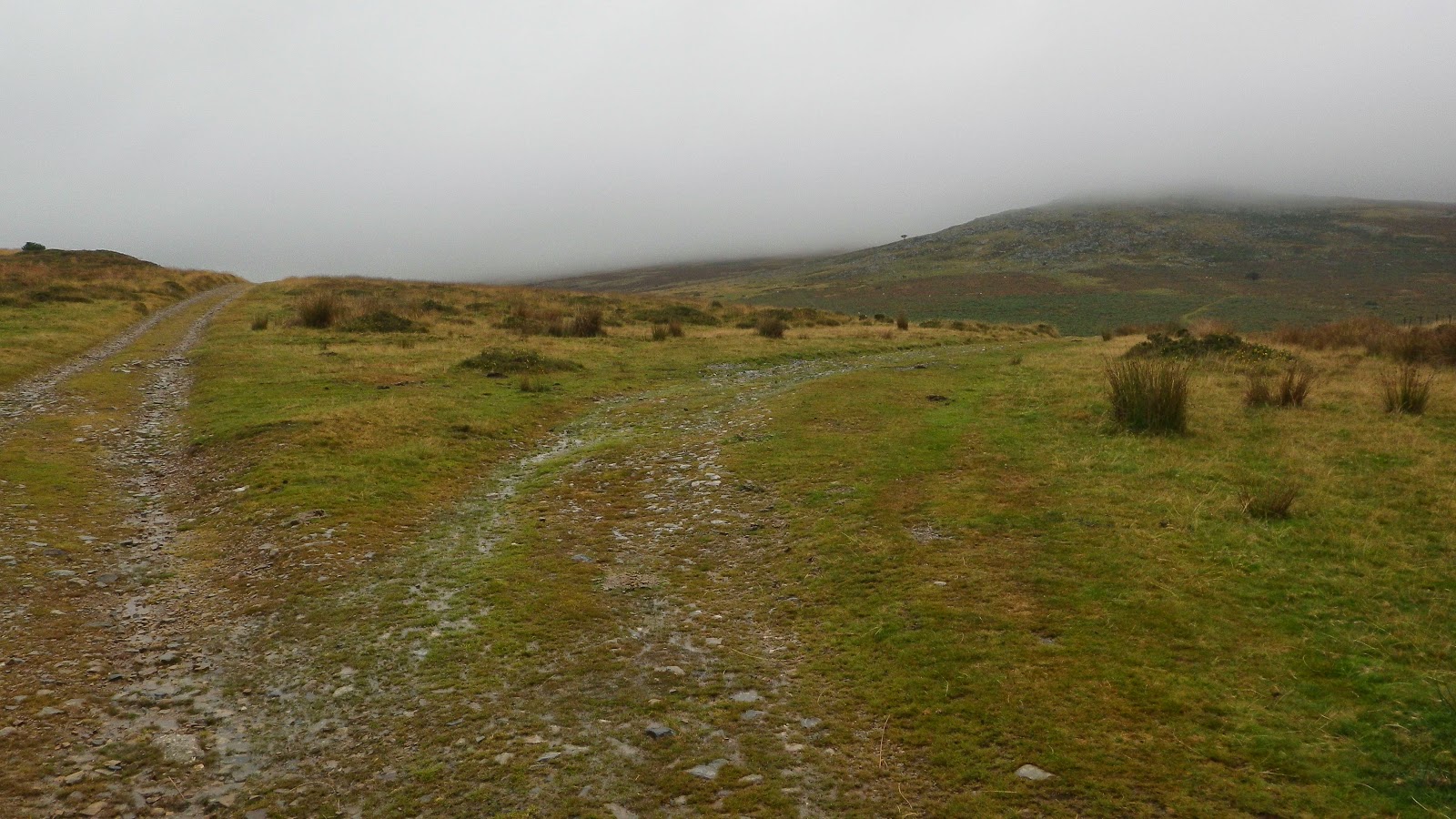 My Dartmoor Walks: Wednesday 24th September Great Links Tor