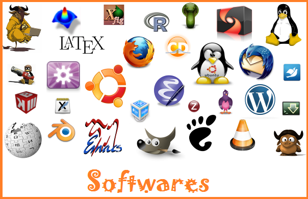 TIC para la Vida: Software - Definición