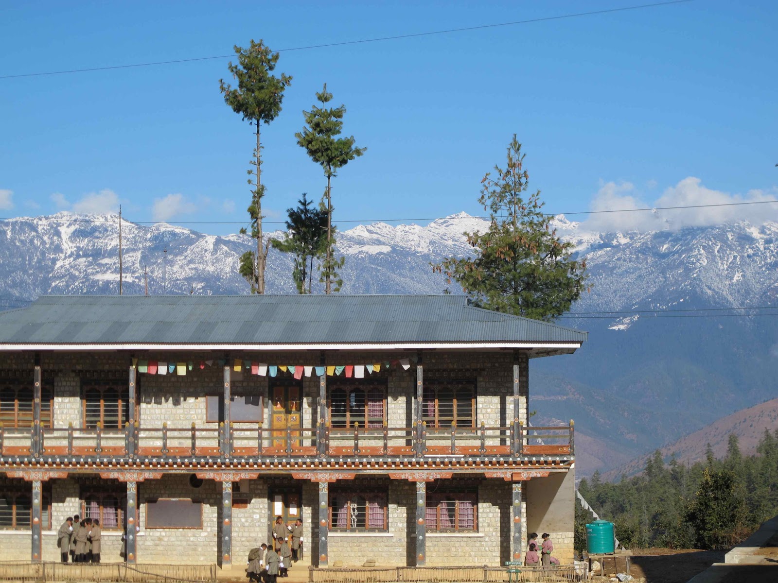 Bos Grunniens: Adventures In The Land of The Yak : Chillip meet ...