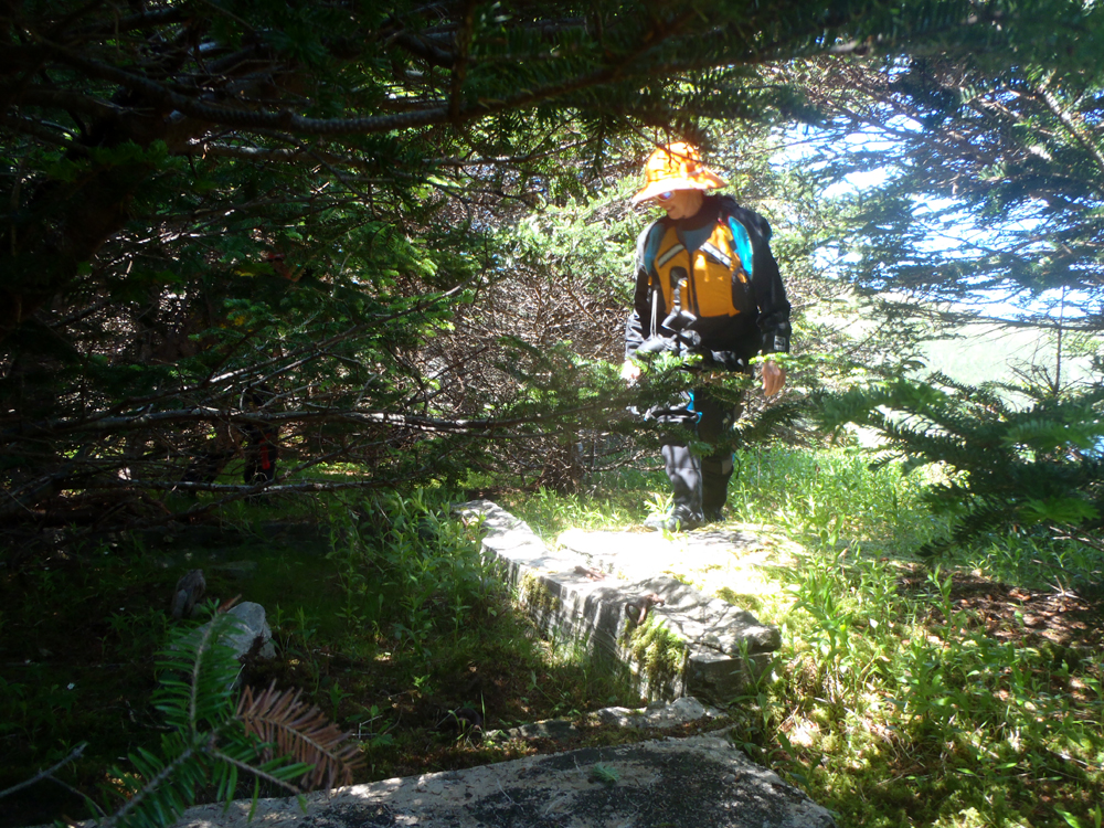 My Newfoundland Kayak Experience: Great Colinet Island (2016) Part 1