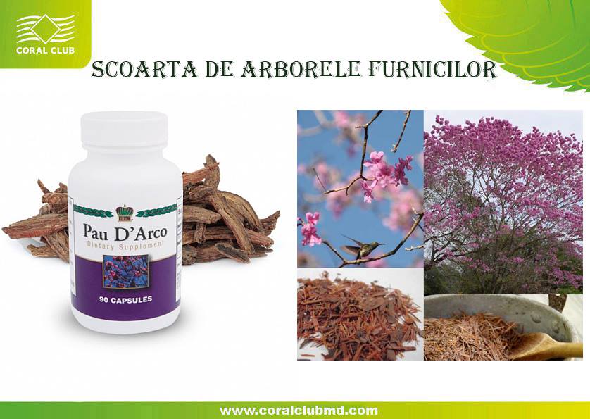 stil de viata unic.....: Copacul divin - Pau D'arco