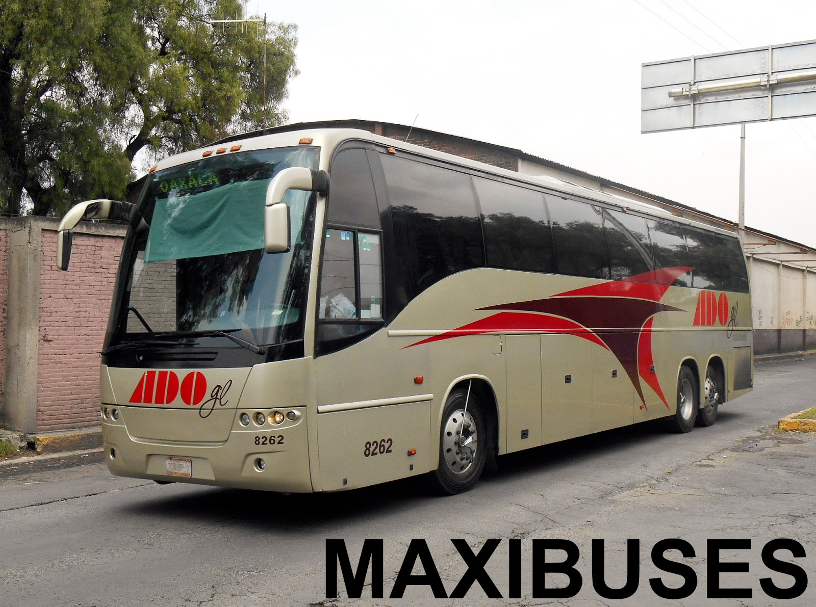 MAXIBUSES: ADO GL