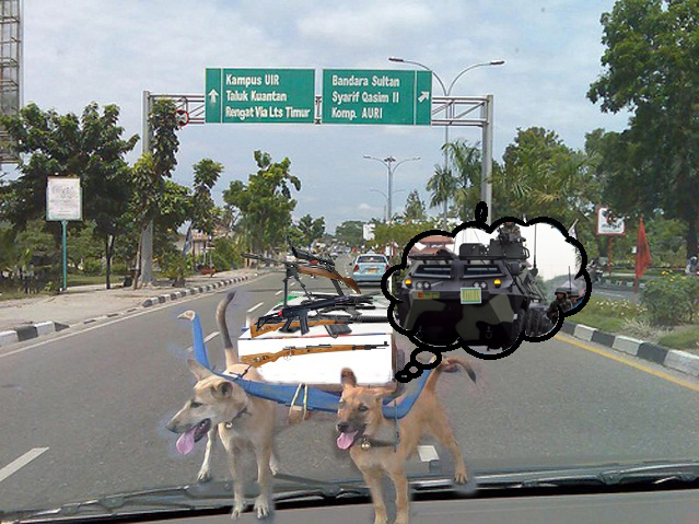 Dieny Spencer Blog: Perang Dunia Binatang: Anjing Vs Kucing