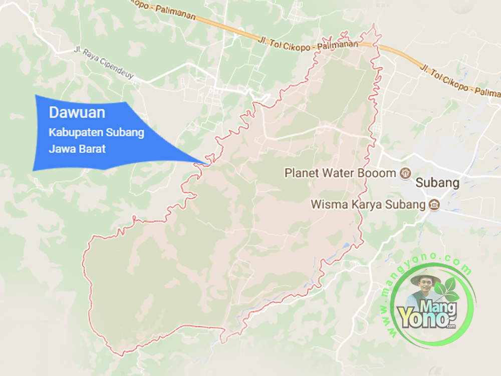 Kecamatan Dawuan, Kabupaten Subang, Jawa Barat