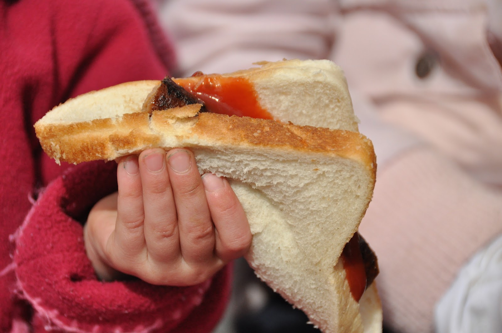 Imagery from Life: A Bush Barbecue