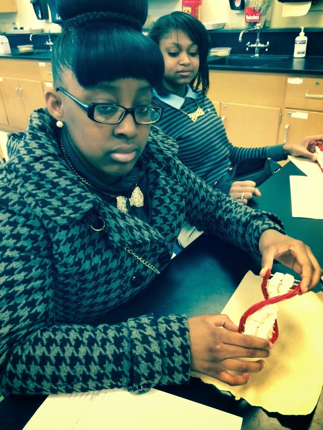 Mrs. Greeley Howard’s Biology Class: DNA Candy Lab