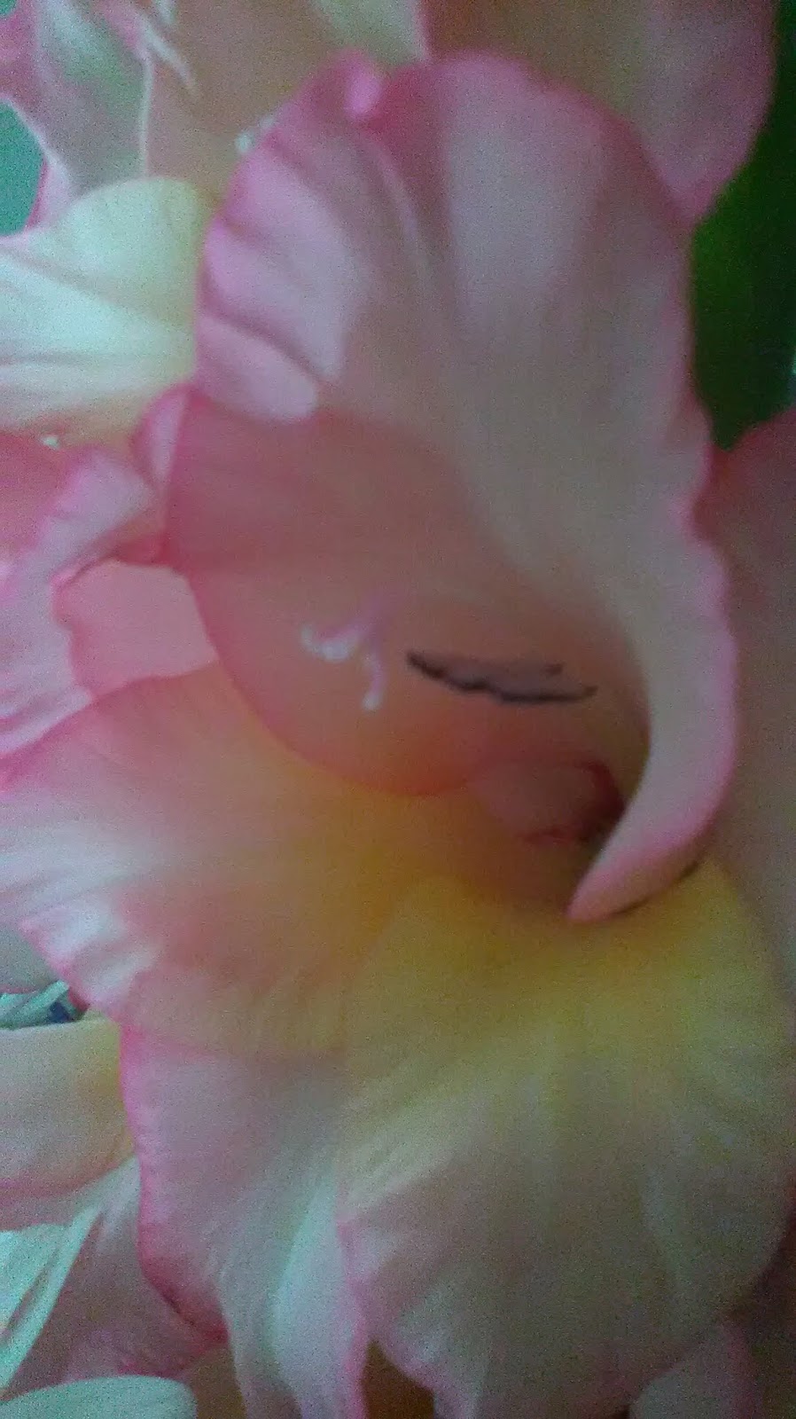 Viajar En Mi Nube Particular II: La belleza tiene nombre de flor.