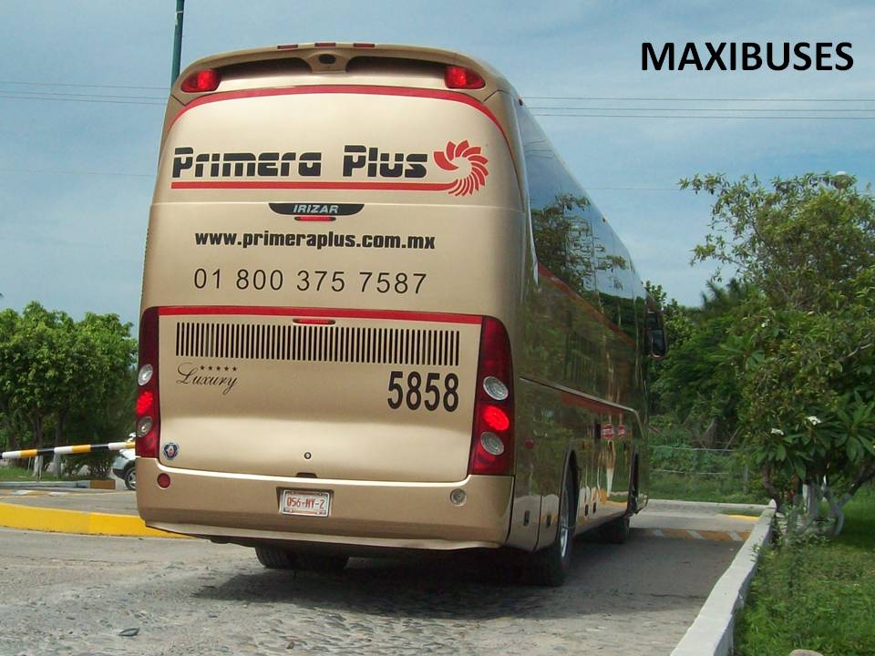 MAXIBUSES: PRIMERA PLUS - NUEVAS UNIDADES