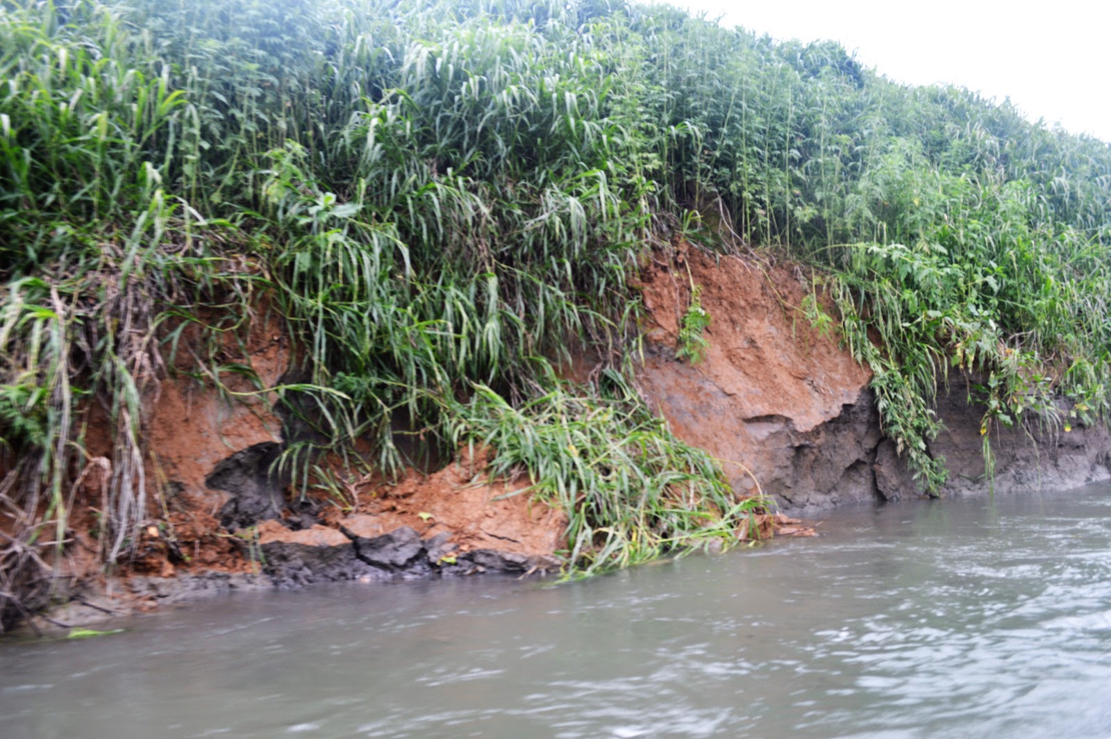 La erosión a las orillas de los ríos de las selvas tropicales