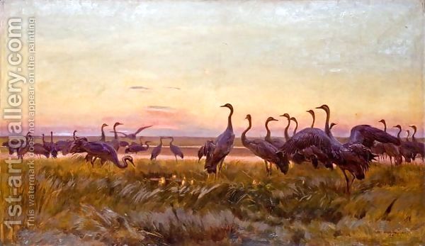 Talmud Illuminated: July 2011