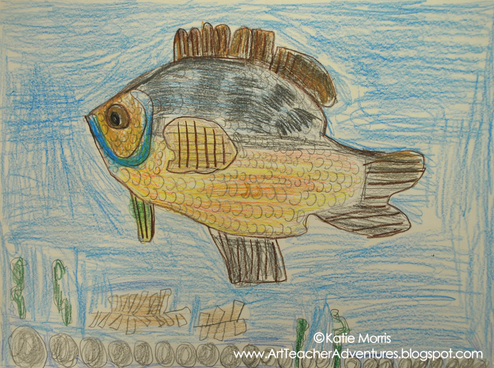 Katie Morris Art: 1st-3rd Grade Fish