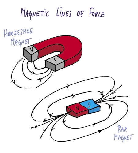 Fanatic Cook: Possible Sixth Sense In Humans: Perception Of Magnetic Fields