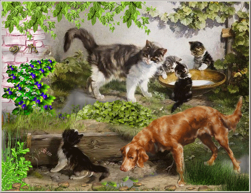 Vítejte u Lenky: Obrázky gif