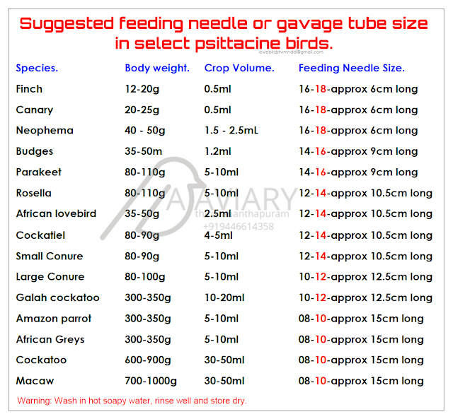 Suggested feeding needle or gavage tube size in select psittacine birds.