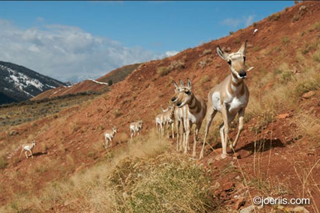 ChewyJas - Singapore Lifestyle Blogger : Photography Seminar by ...