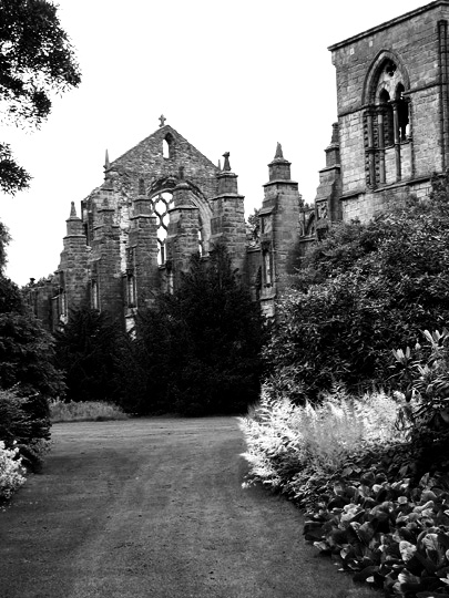 A Young Writer in Saskatchewan