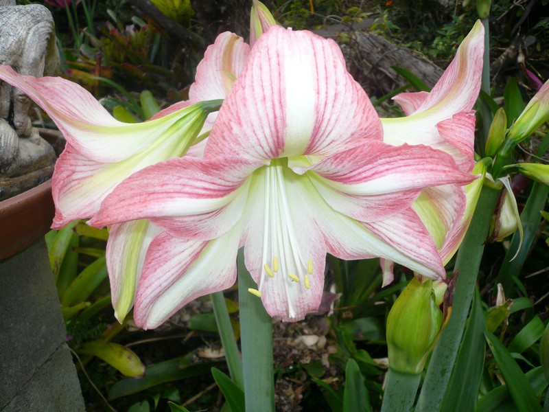 Lavender and Vanilla; Friends of the Gardens: HIPPIES...their time ...