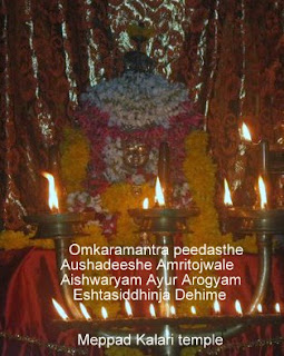 Srividya Anushtana Peetham - kerala: Shulini Durga - The Best Blessing ...