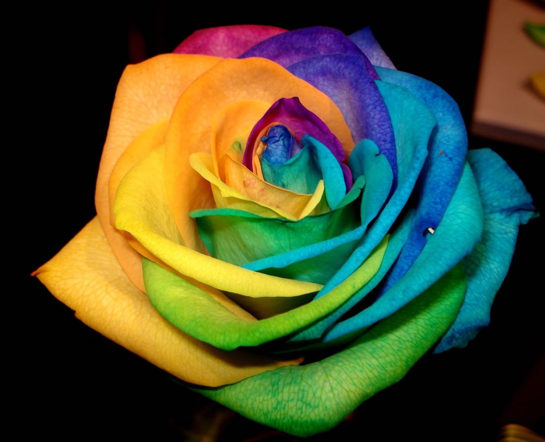 W W W . A T E L I E R - D E C O R . B L O G S P O T . C O M: março 2011