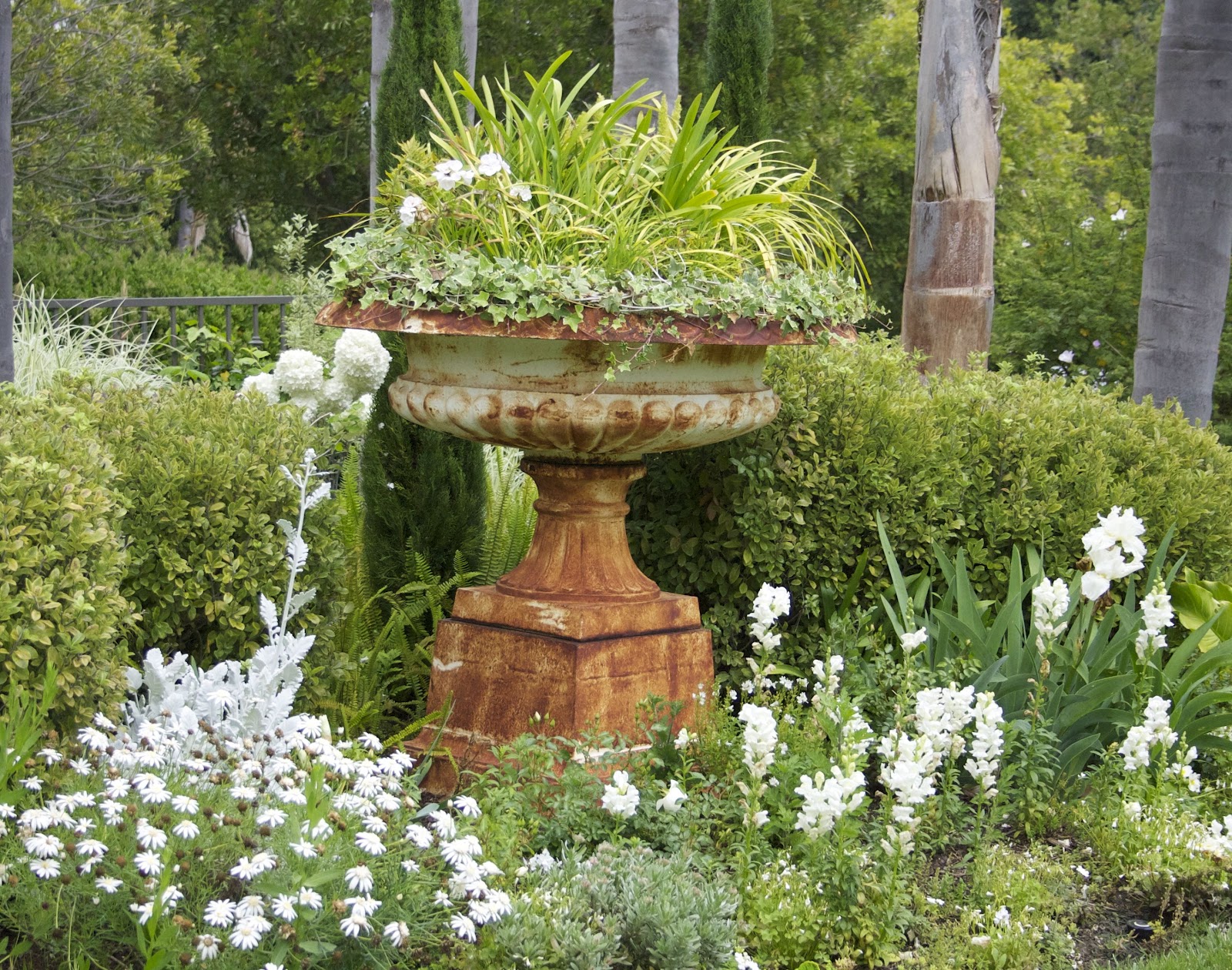 The Gardens of Petersonville: What's Blooming in the Moonlight Garden?