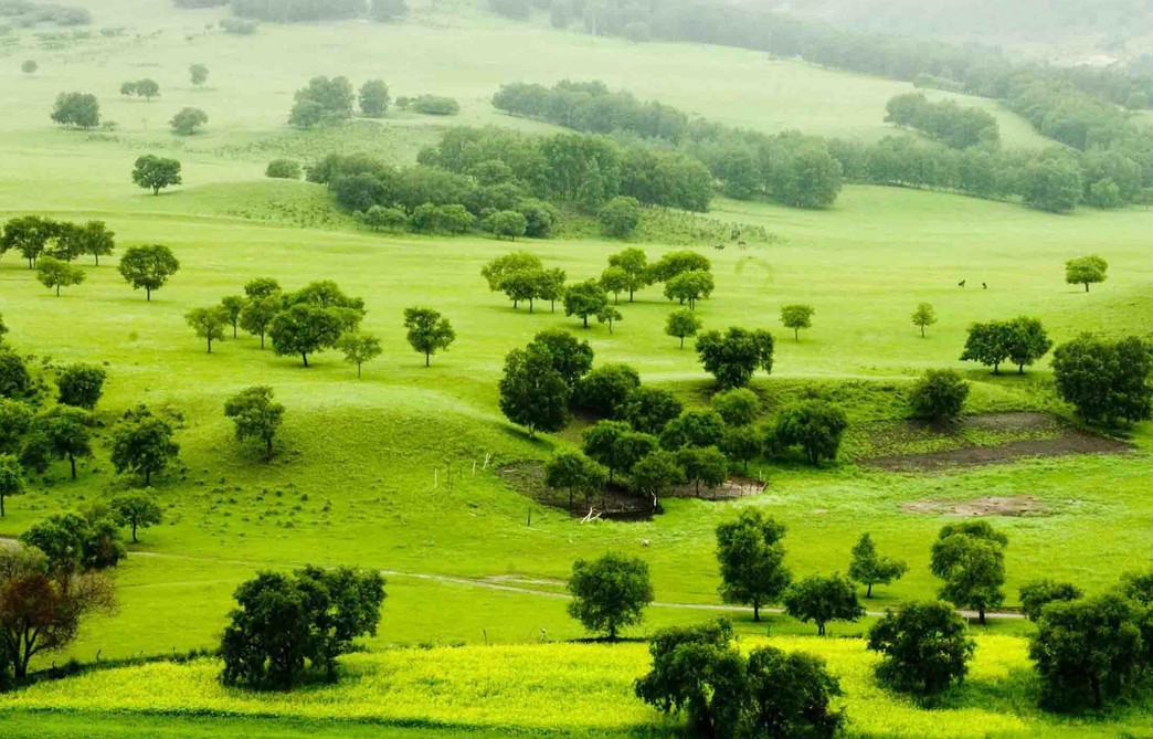 Most Popular Grasslands In The World at Lorelei Rios blog