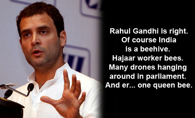 Beehive, Mosquitos.. What Next Rahul Baba? - Being Cynical