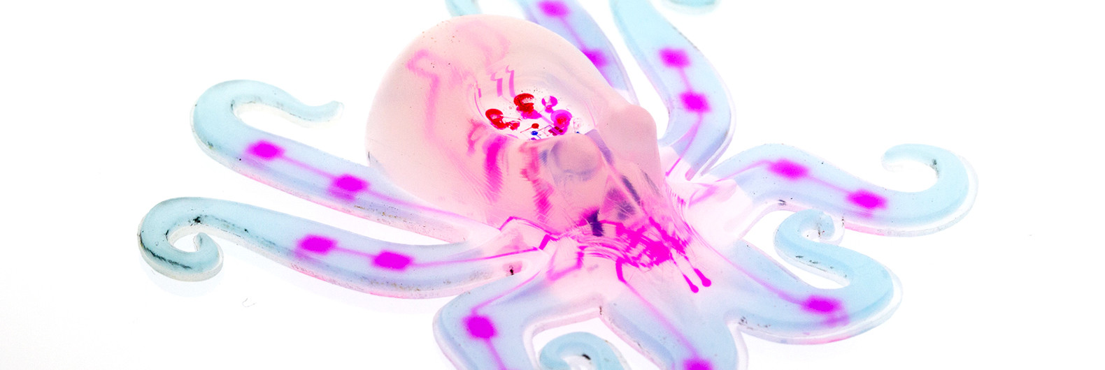 Elgrannino.net: INCREIBLE: Conozcan el "octobot", el primer robot de ...