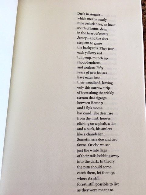 Galatea Resurrects 2017 (A Poetry Engagement): DEAR ALMOST by MATTHEW ...