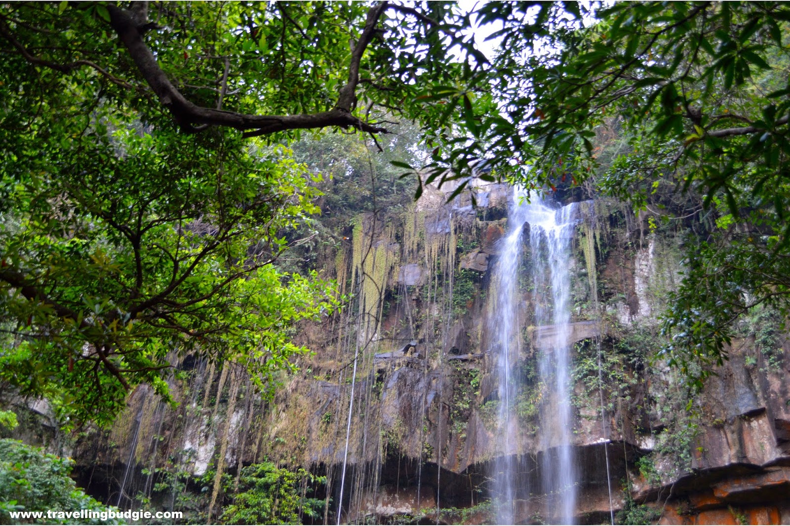 Travelling Budgie: Chambok - Homestay in Eco Tourism Community | Cambodia