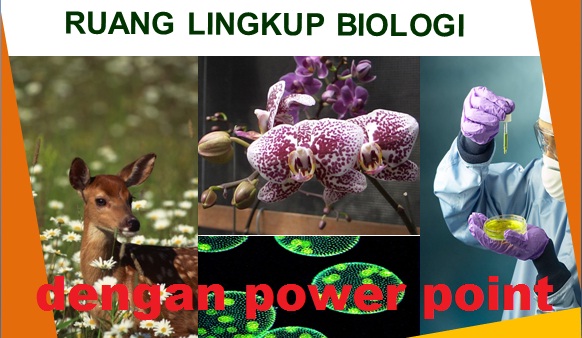 Kumpulan Media Pembelajaran Powerpoint Biologi SMA Yang Harus Dimiliki ...