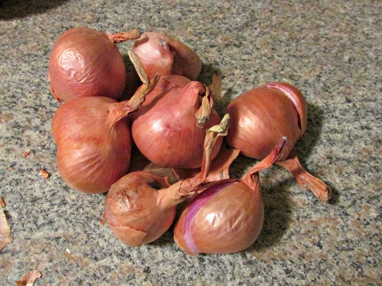 Guts and Gold: Shallot Confit