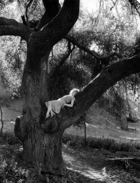 52 Vintage Snapshots Capture Young Women Jauntily Posing in Trees From ...