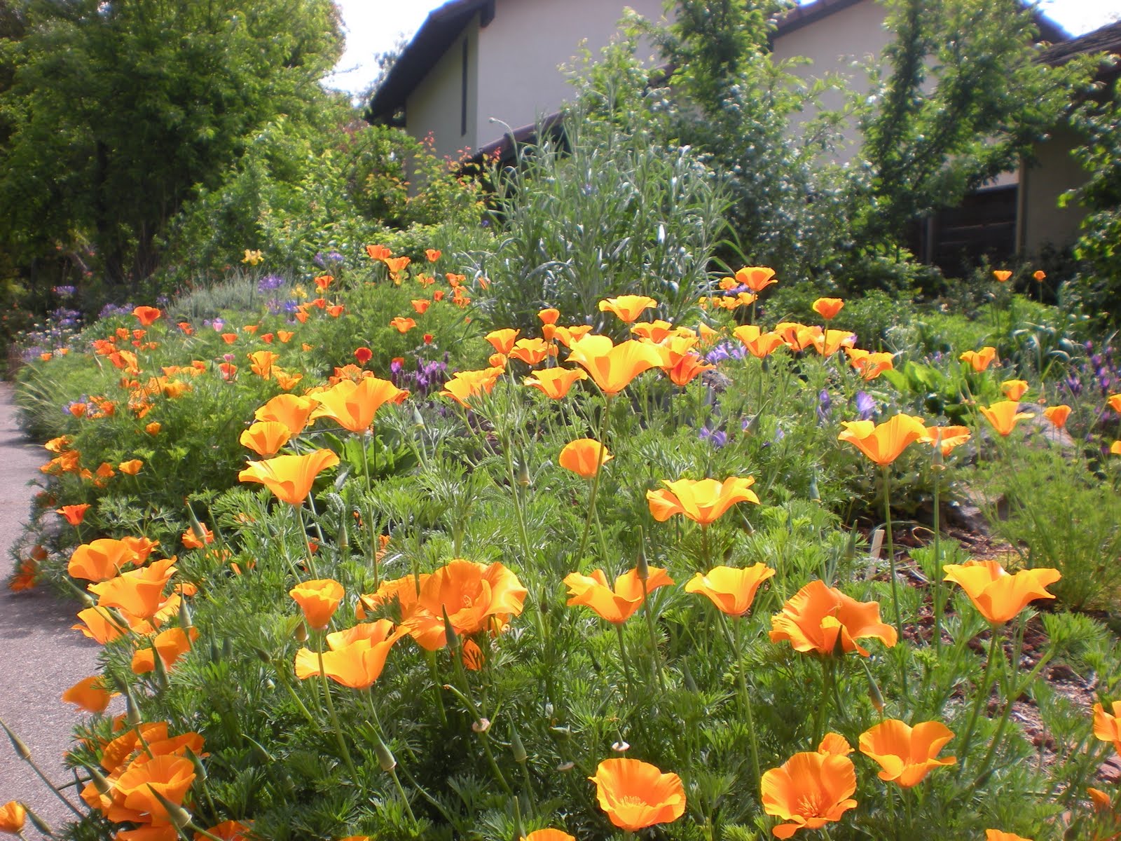 Life in the Shire: Pictures of the Shire