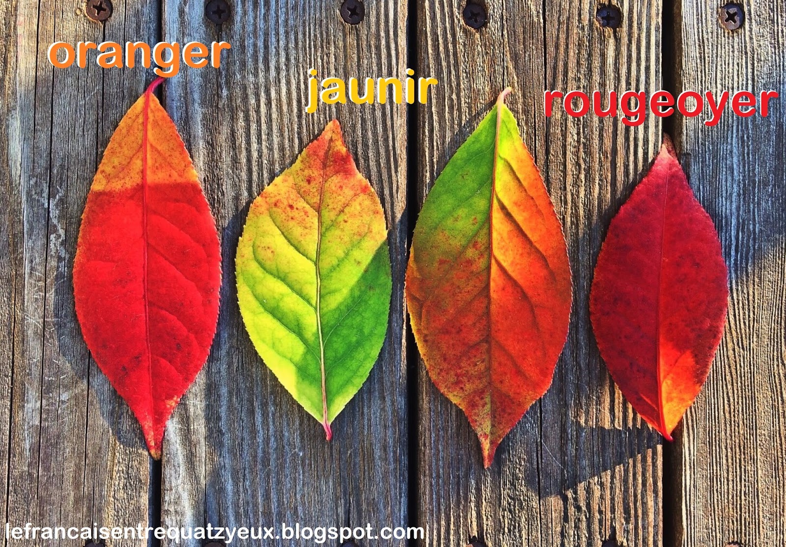 Vocabulaire autour des couleurs | French vocabulary about colors ...