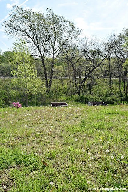Boring Backyard into a Fantastic Outdoor Entertaining Space