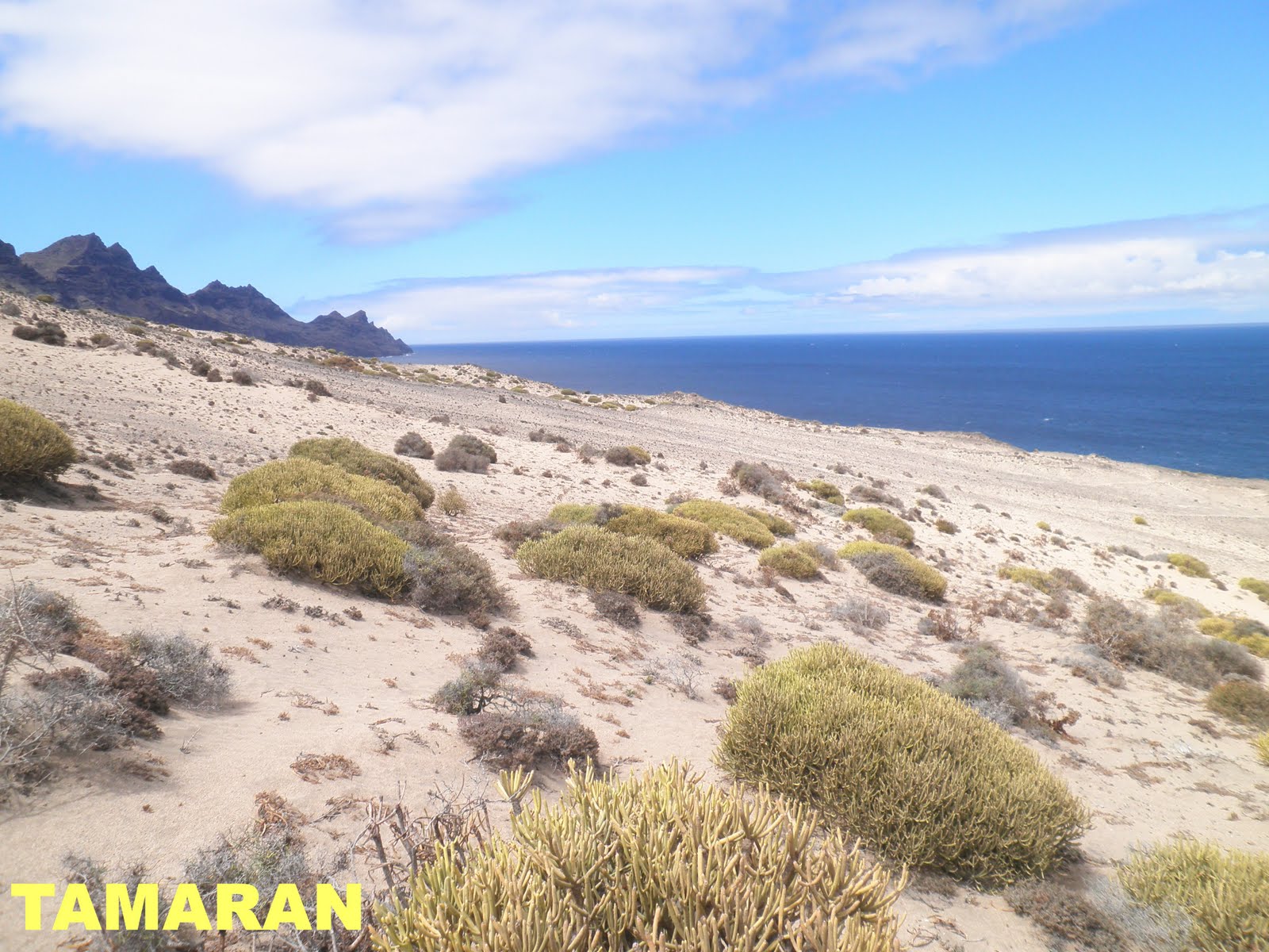 TAMARAN: ARTENARA DE TAMARAN FORMACIONES GEOLOGICAS PLAYAS VIRGENES