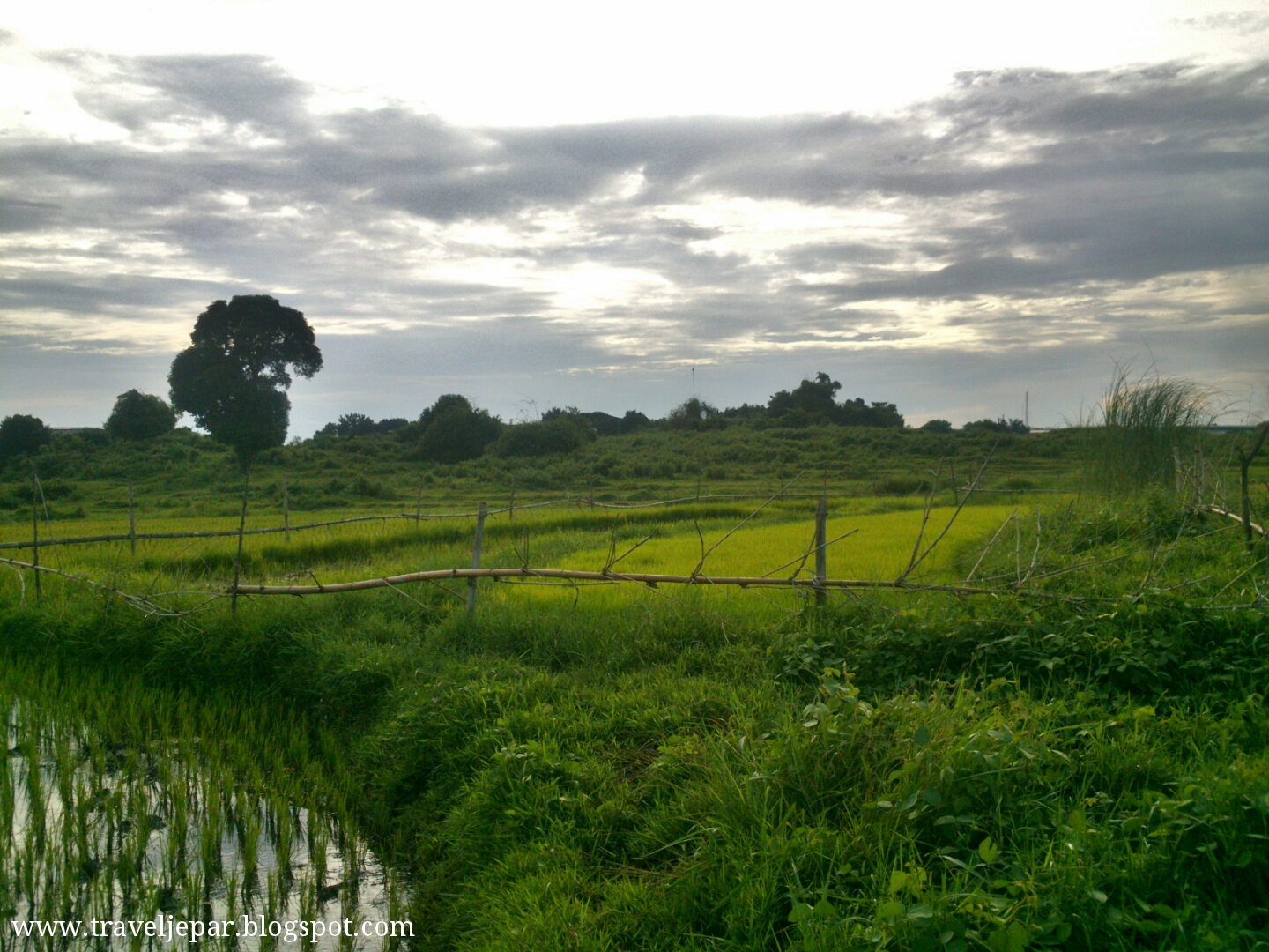 Bignay Farmland | Valenzuela City