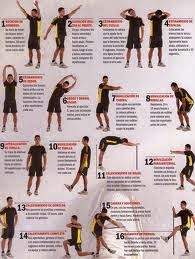 Tutorias en la web: La importancia de la Elongación (Educación Física)