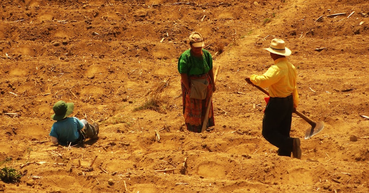 ¡Sembrar es más que plantar!