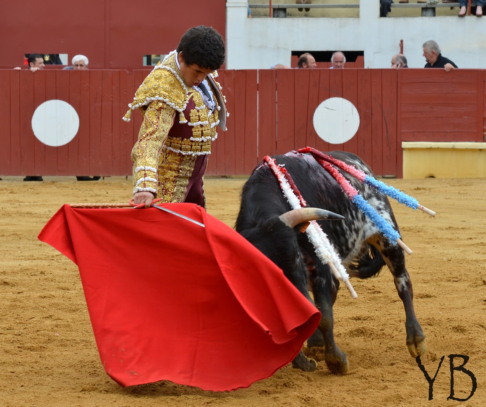 Bienvenue sur Yann BRIDONNEAU photographies.: NOVILLADA DE MALABAT A ...