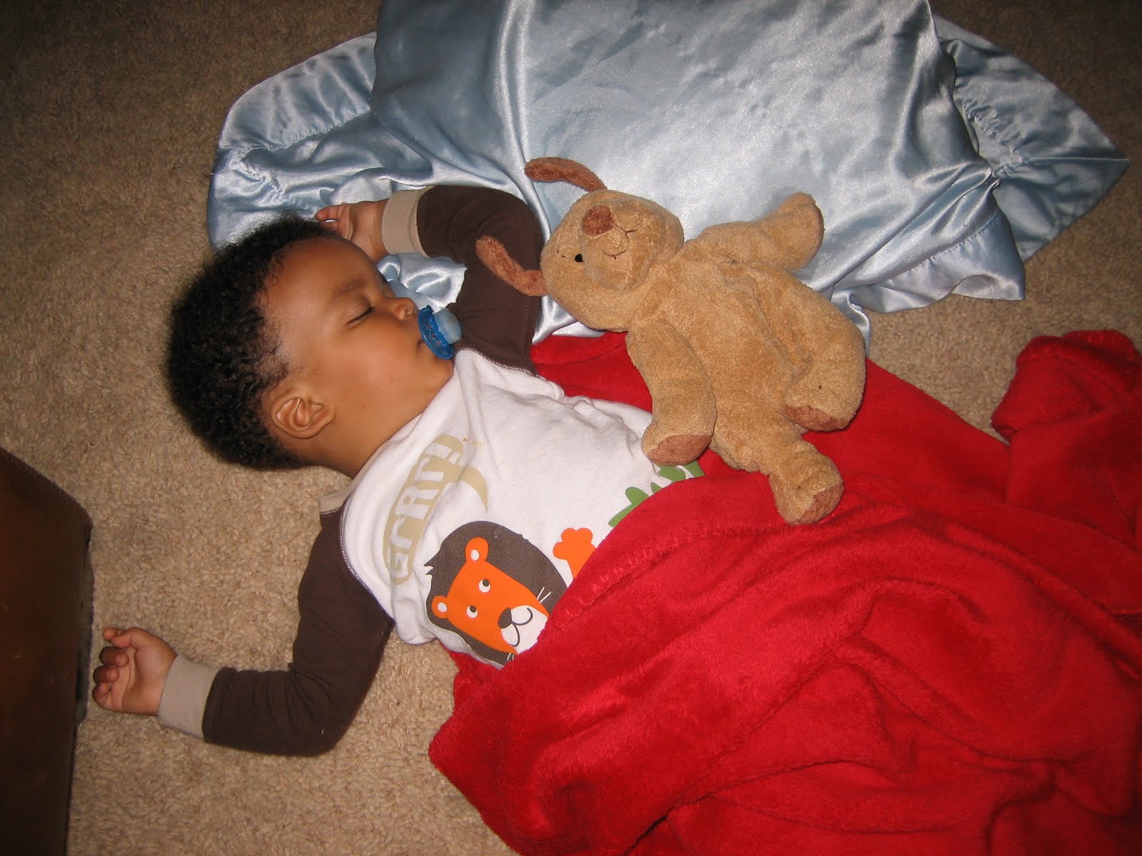 Everyday a Blessing: Sleepy Boy....